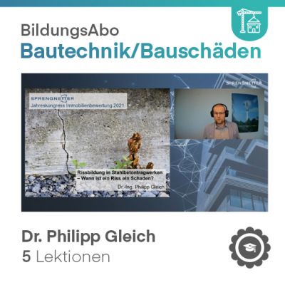 Wann bedeutet ein Riss ein Schaden? (Online-Kurs)